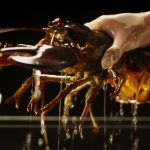 Central Food Wholesale - Central Food Wholesale