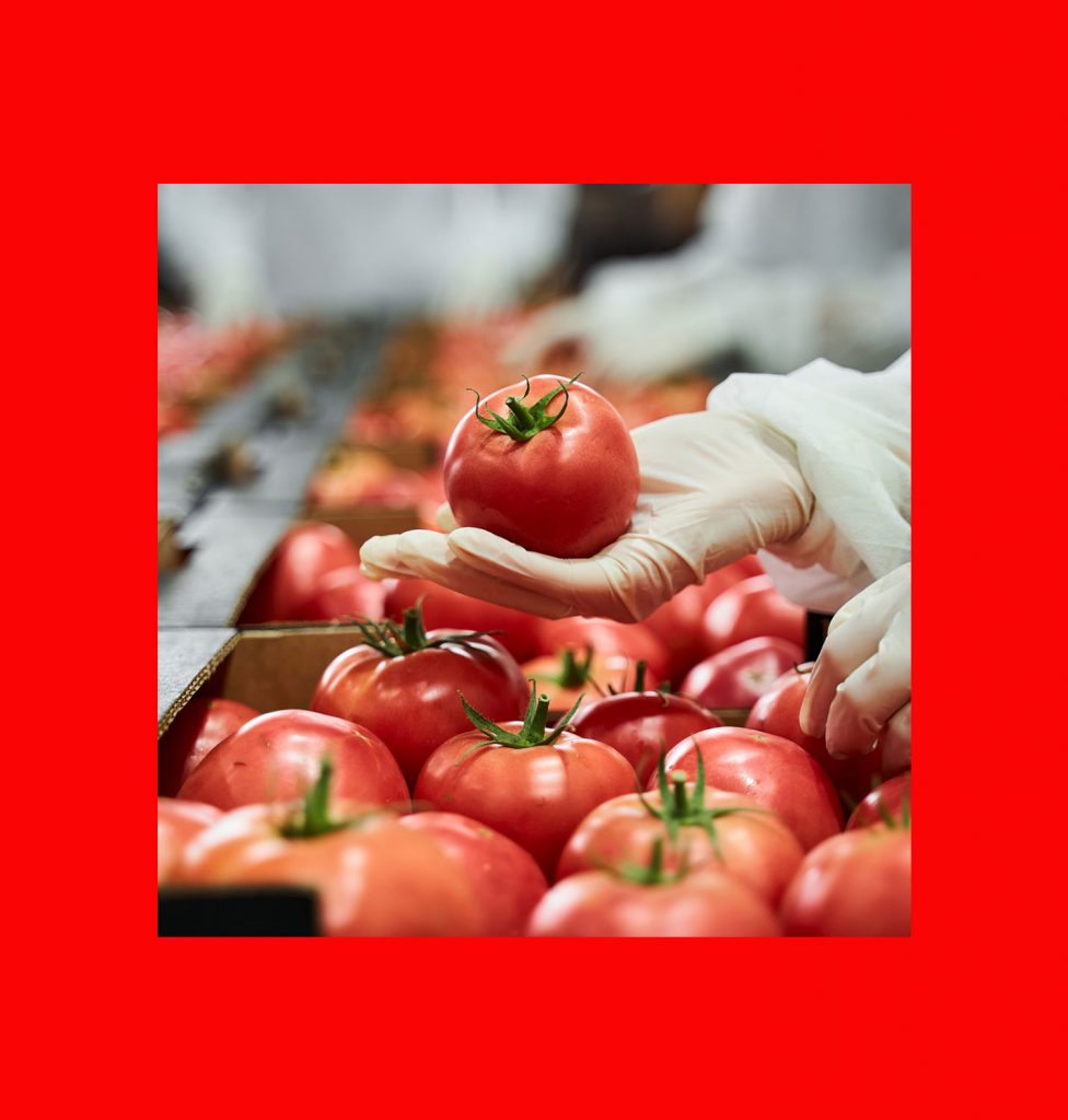 About - Central Food Wholesale