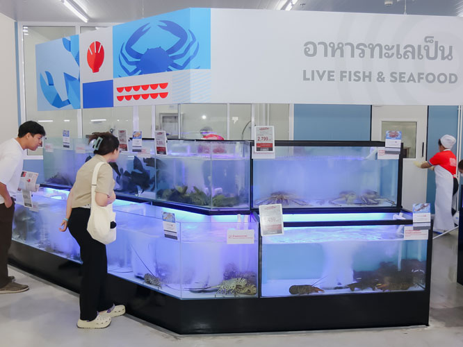 GO TALK - Central Food Wholesale