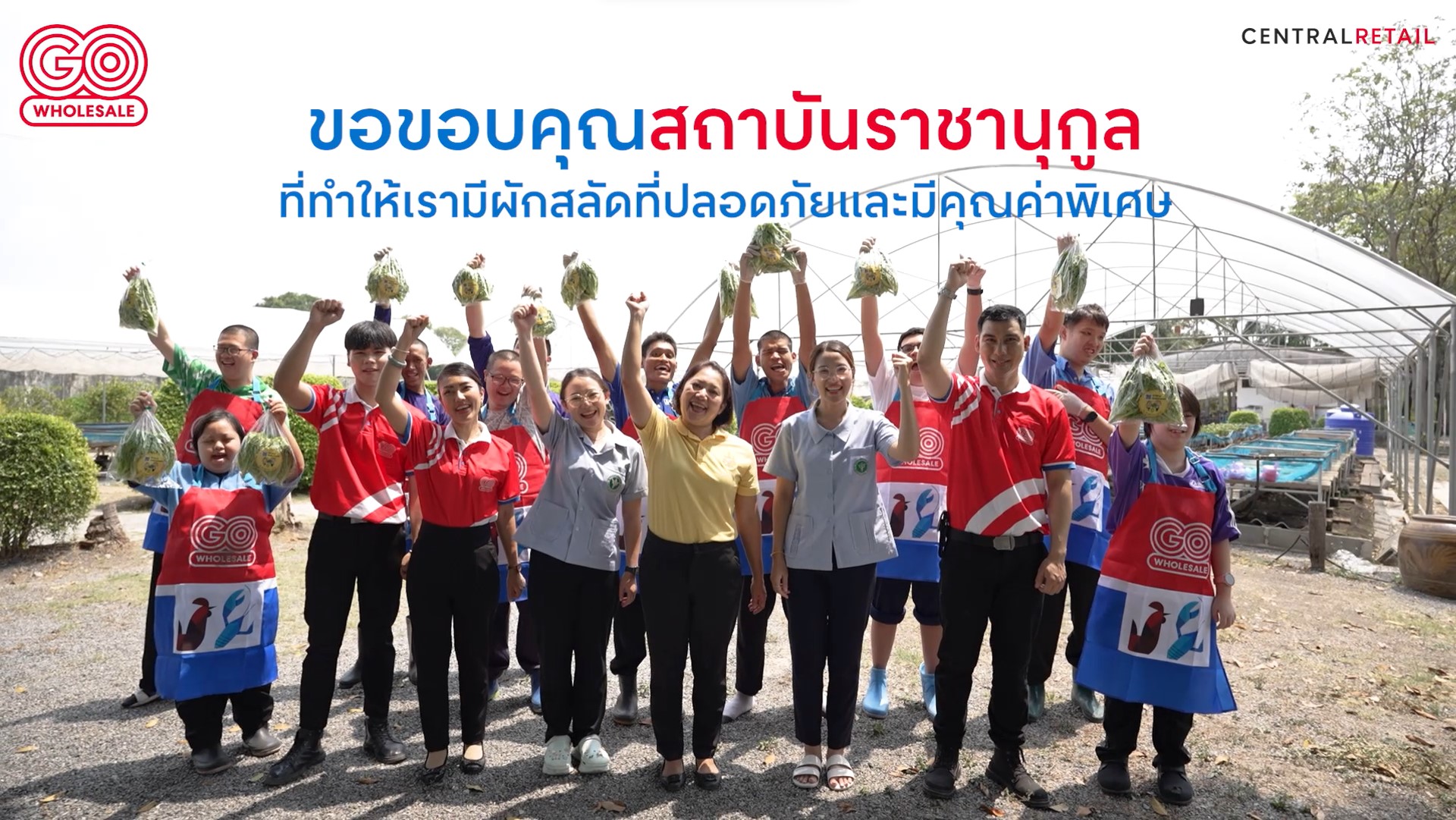 ผักสลัด ผลผลิตสร้างโอกาส เพิ่มทักษะ ส่งเสริมผู้บกพร่องทางสติปัญญา ที่ ...